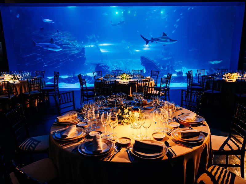 Atlantis Museum - Disponibilidad y Reservas para Eventos